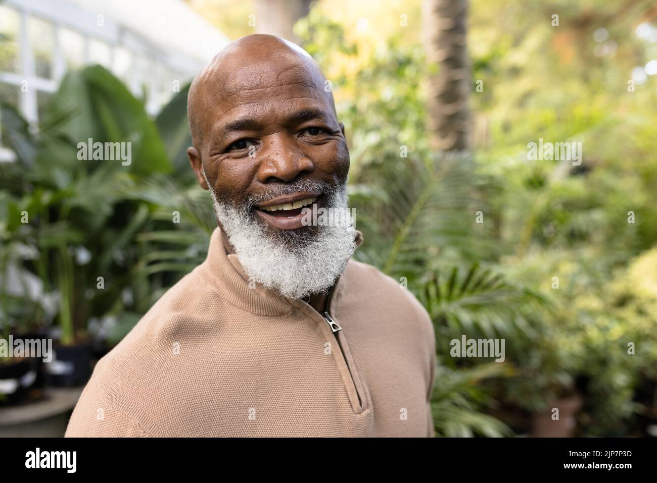 Portrait senior man spending hi-res stock photography and images - Alamy