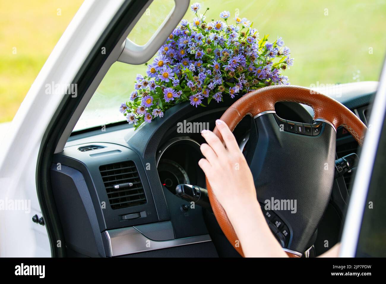 Bouquet of wildflowers on a dashboard of a car Stock Photo - Alamy
