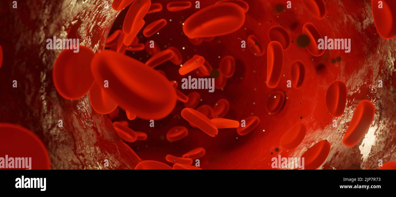 3d red streaming blood cells banner panorama. 3D Illustration Stock ...