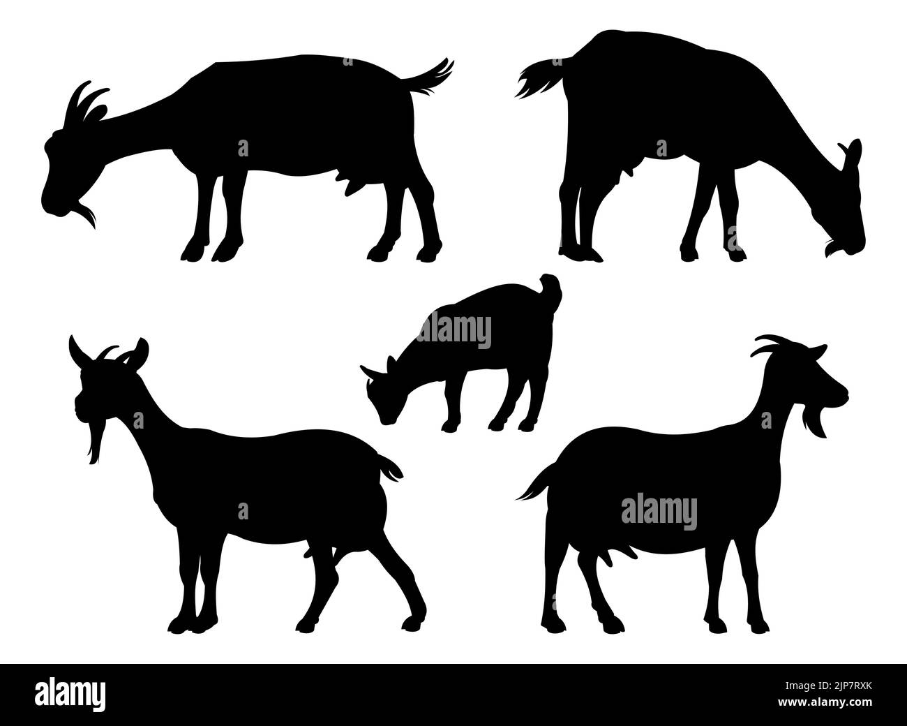 Set of Goats grazing. Picture silhouette. Farm pets. Animals for milk ...