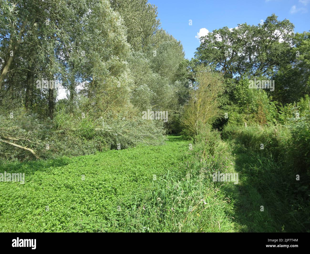 Thames Path National Trail. Long-distance trail. The River Thames ...