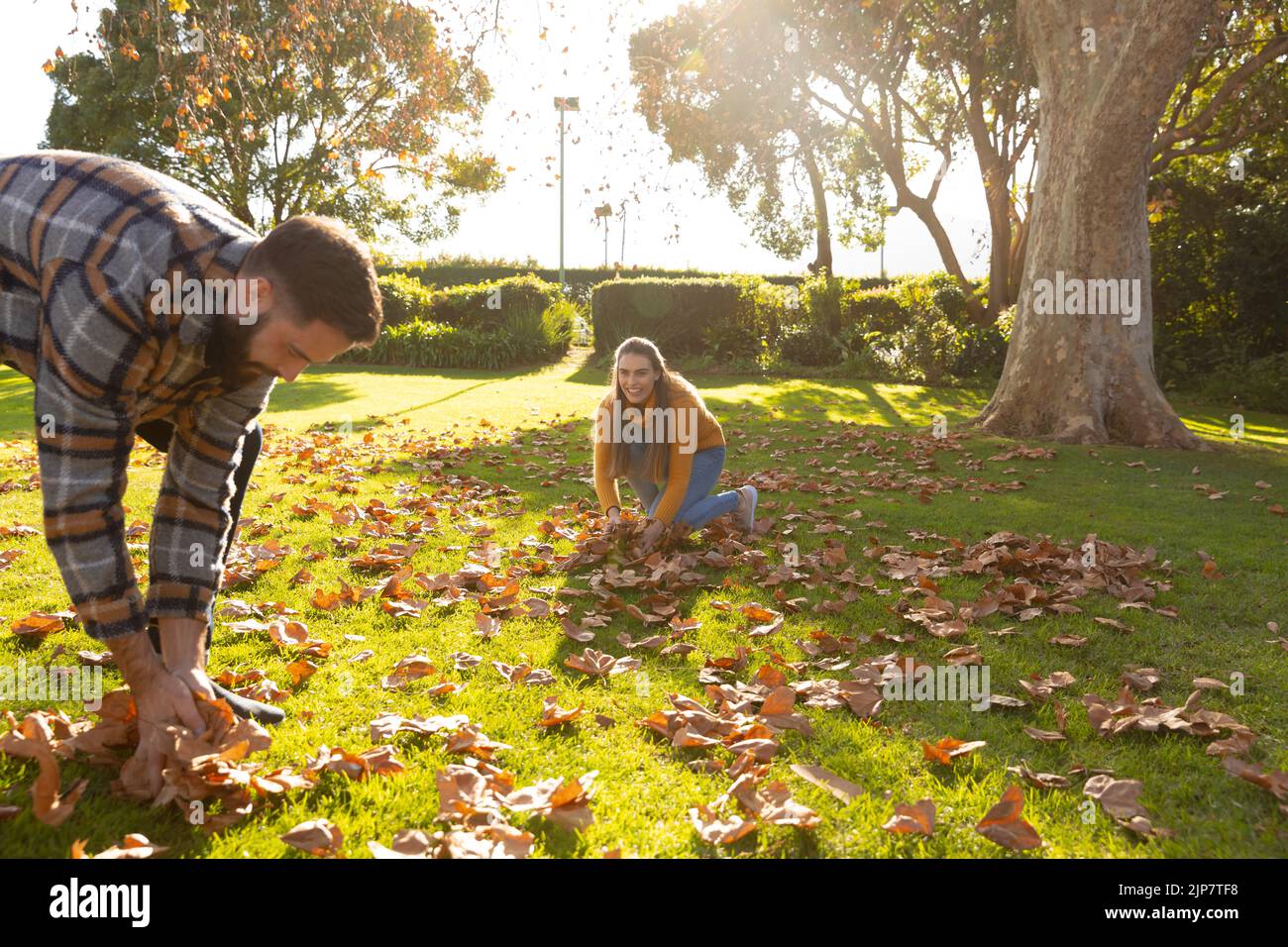 Collecting leaves hi-res stock photography and images - Alamy
