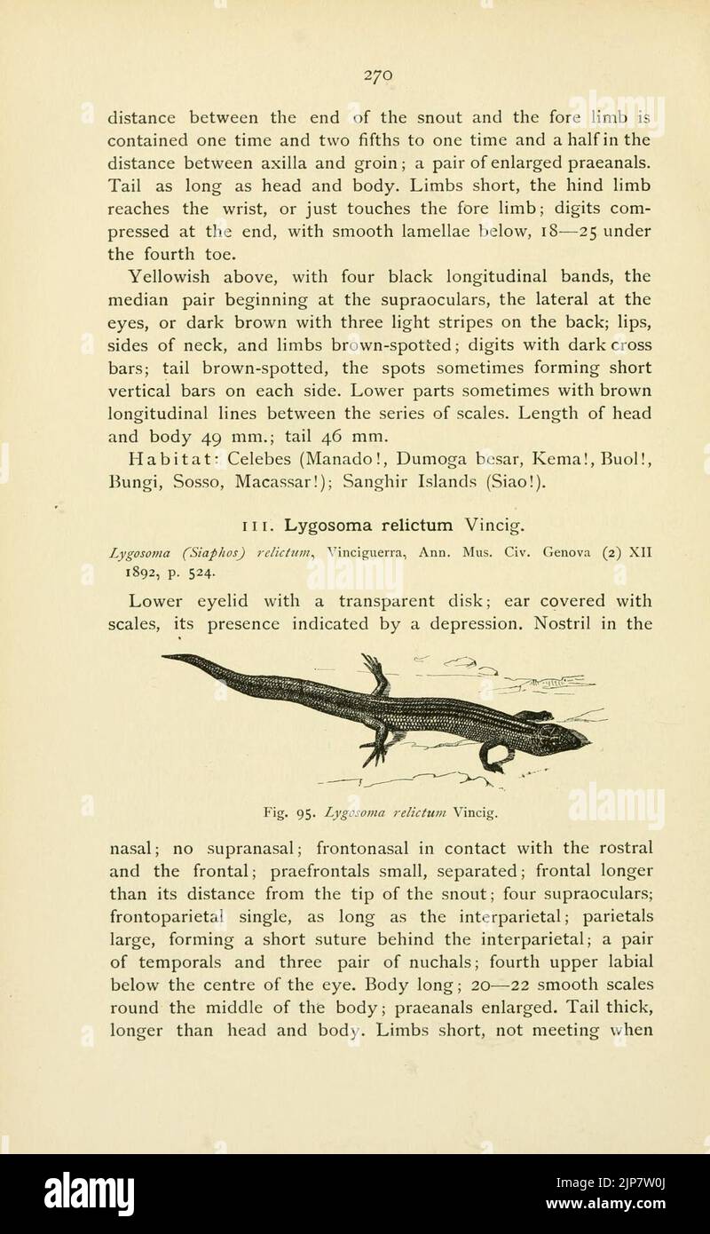 The reptiles of the Indo-Australian archipelago (Page 270 Stock Photo ...