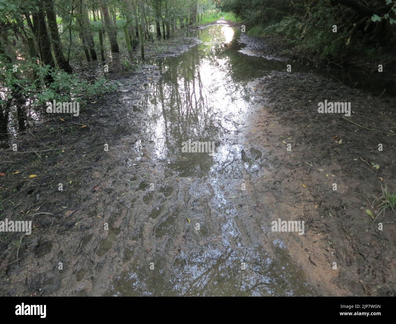 Thames Path National Trail. Long-distance trail. The River Thames ...