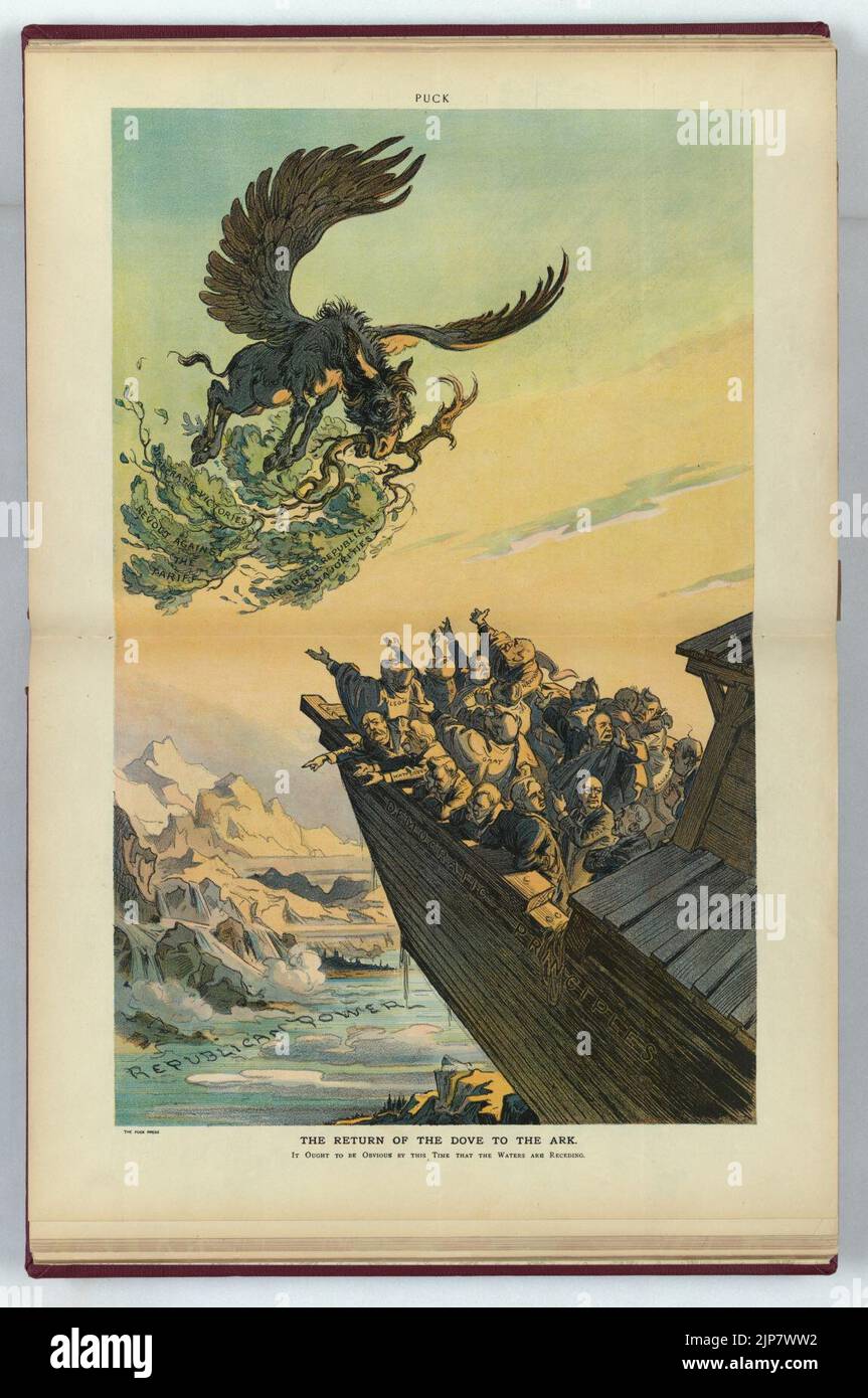 The return of the dove to the ark - K Stock Photo - Alamy