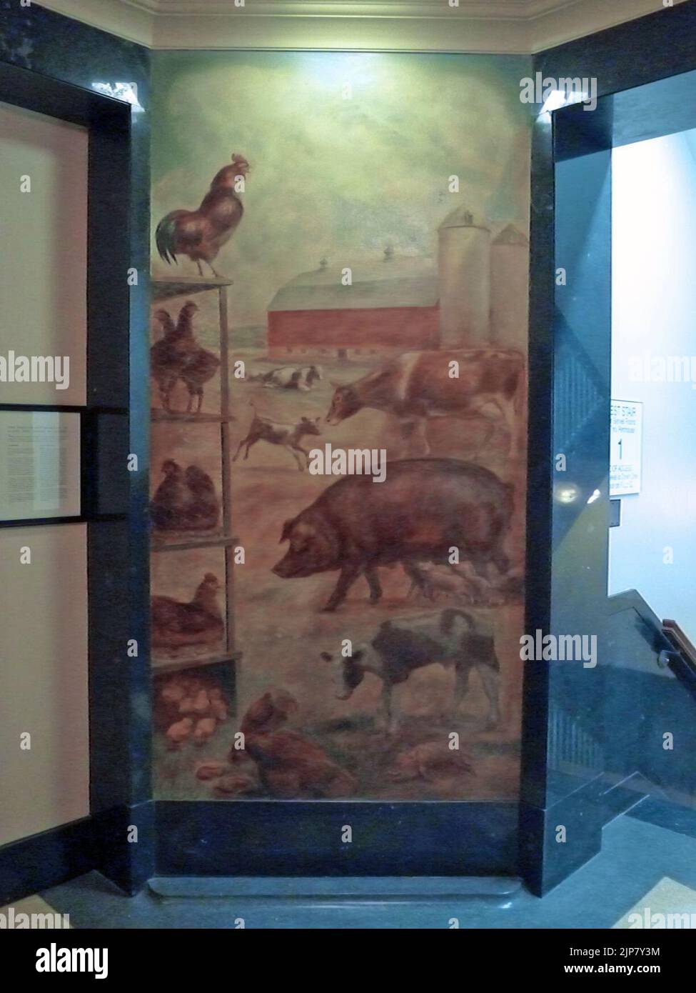 The Role of Biochemistry in Plant and Animal Nutrition (John Steuart ...