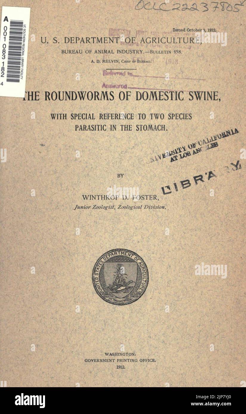 The roundworms of domestic swine Stock Photo - Alamy