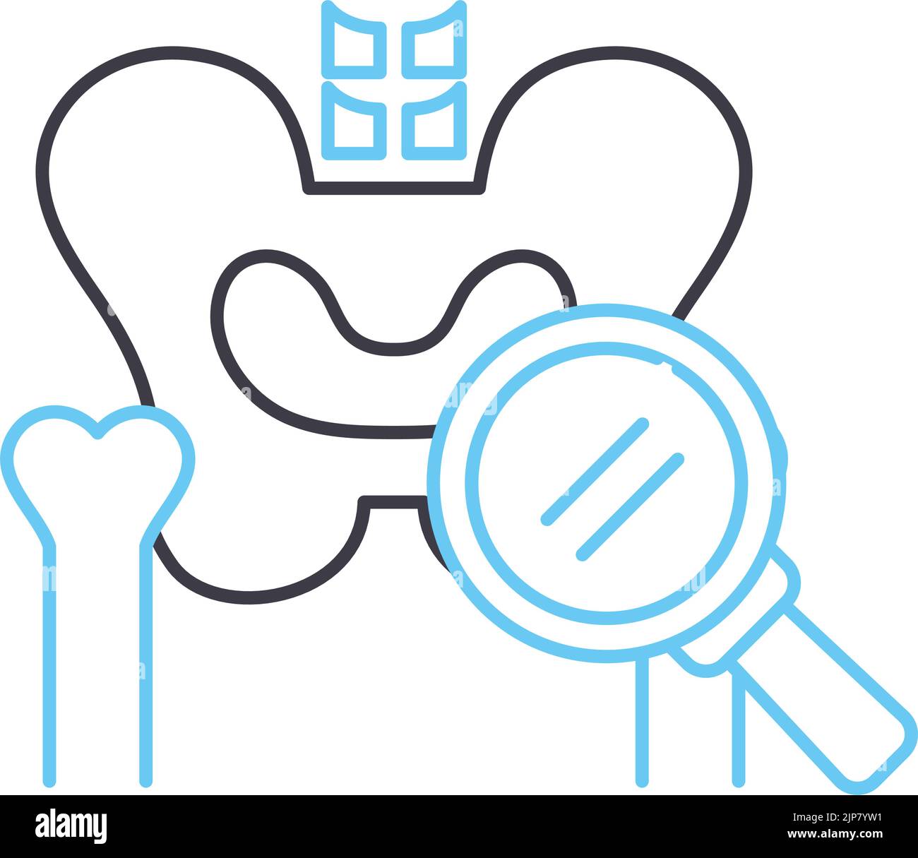 bone densitometry line icon, outline symbol, vector illustration ...