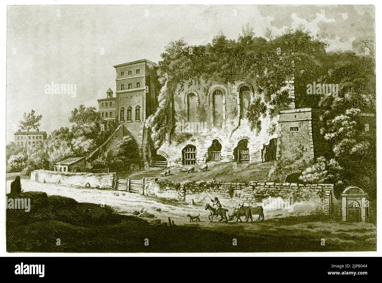 The Ruins of Caesar’s palace, from a Drawing Made upon the Spot Stock ...