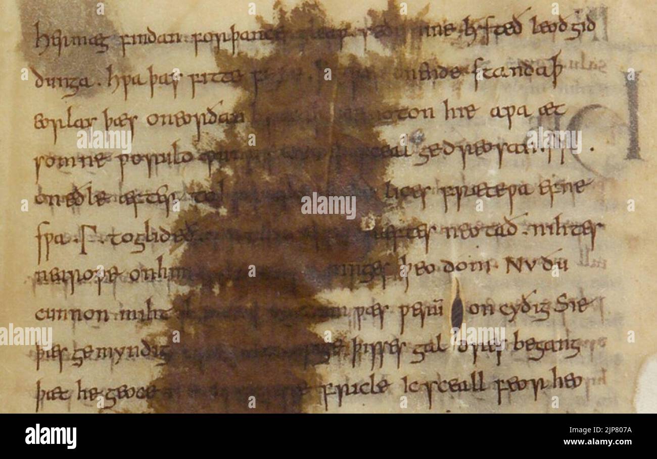 The runic signature of Cynewulf in The Fates of the Apostles - Vercelli ...