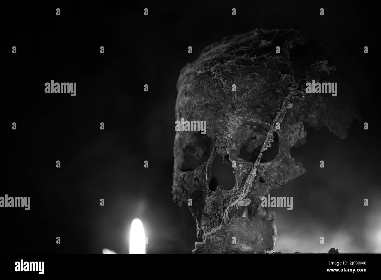 Real human skull in mysterious, foggy light. Spooky, horror wallpaper ...