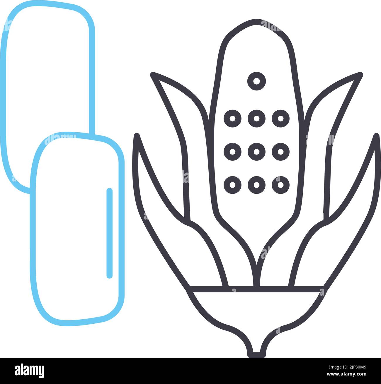 corn bread line icon, outline symbol, vector illustration, concept sign ...