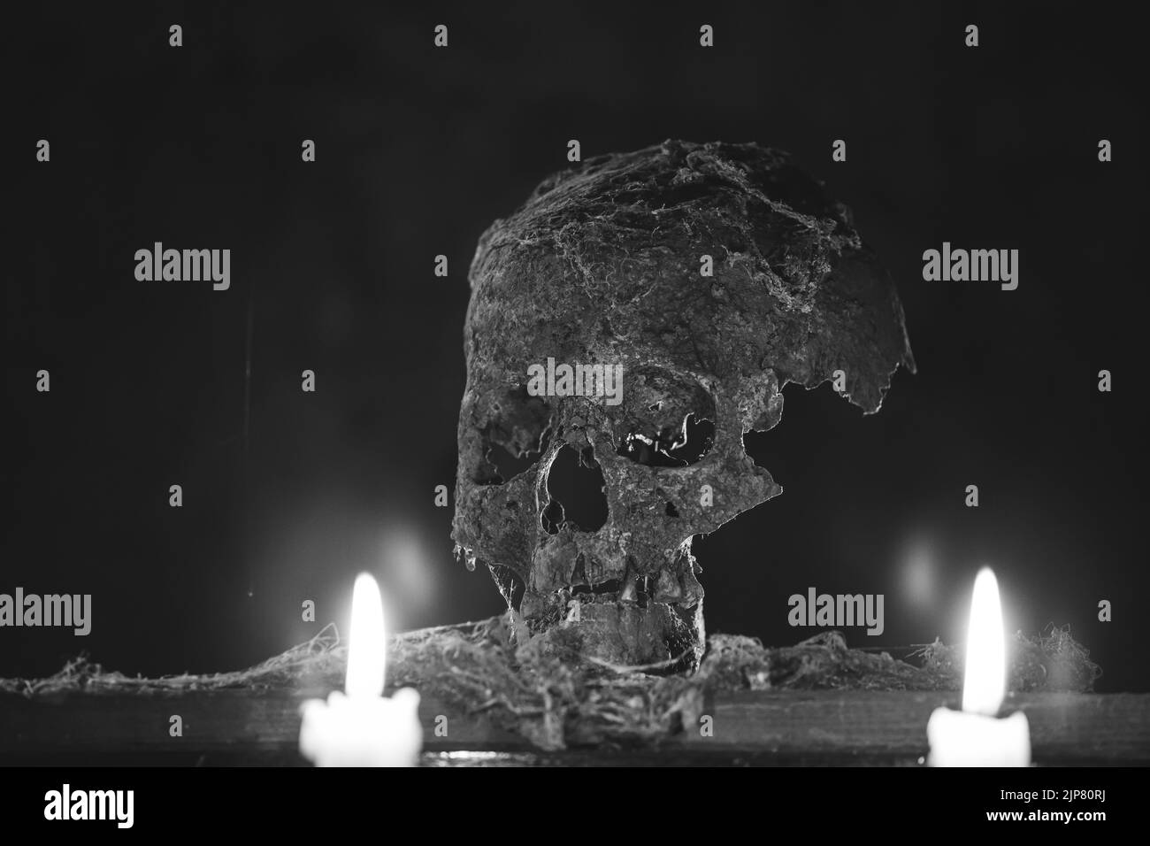 Real human skull in mysterious, foggy light. Spooky, horror wallpaper ...