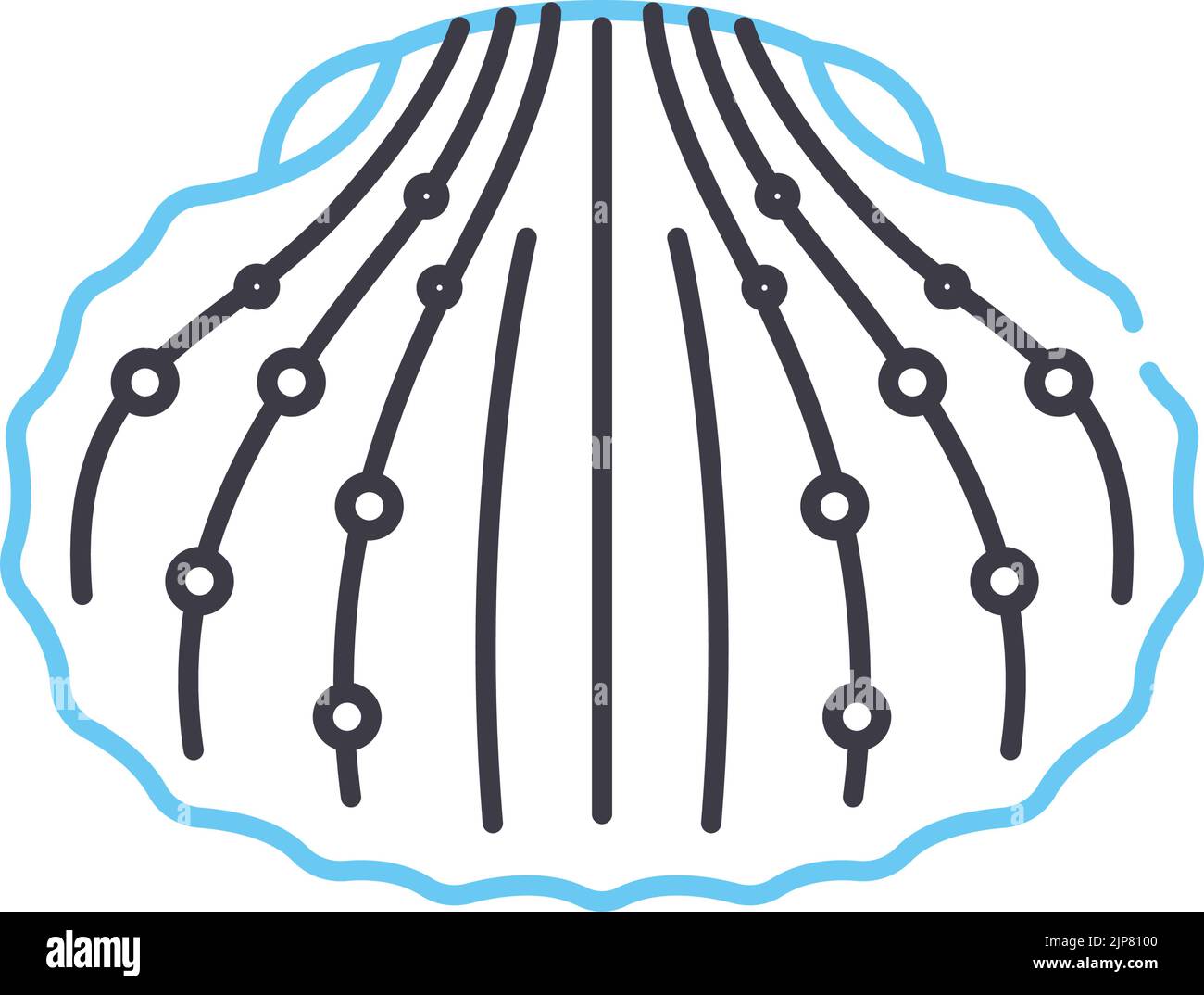 cockle line icon, outline symbol, vector illustration, concept sign ...