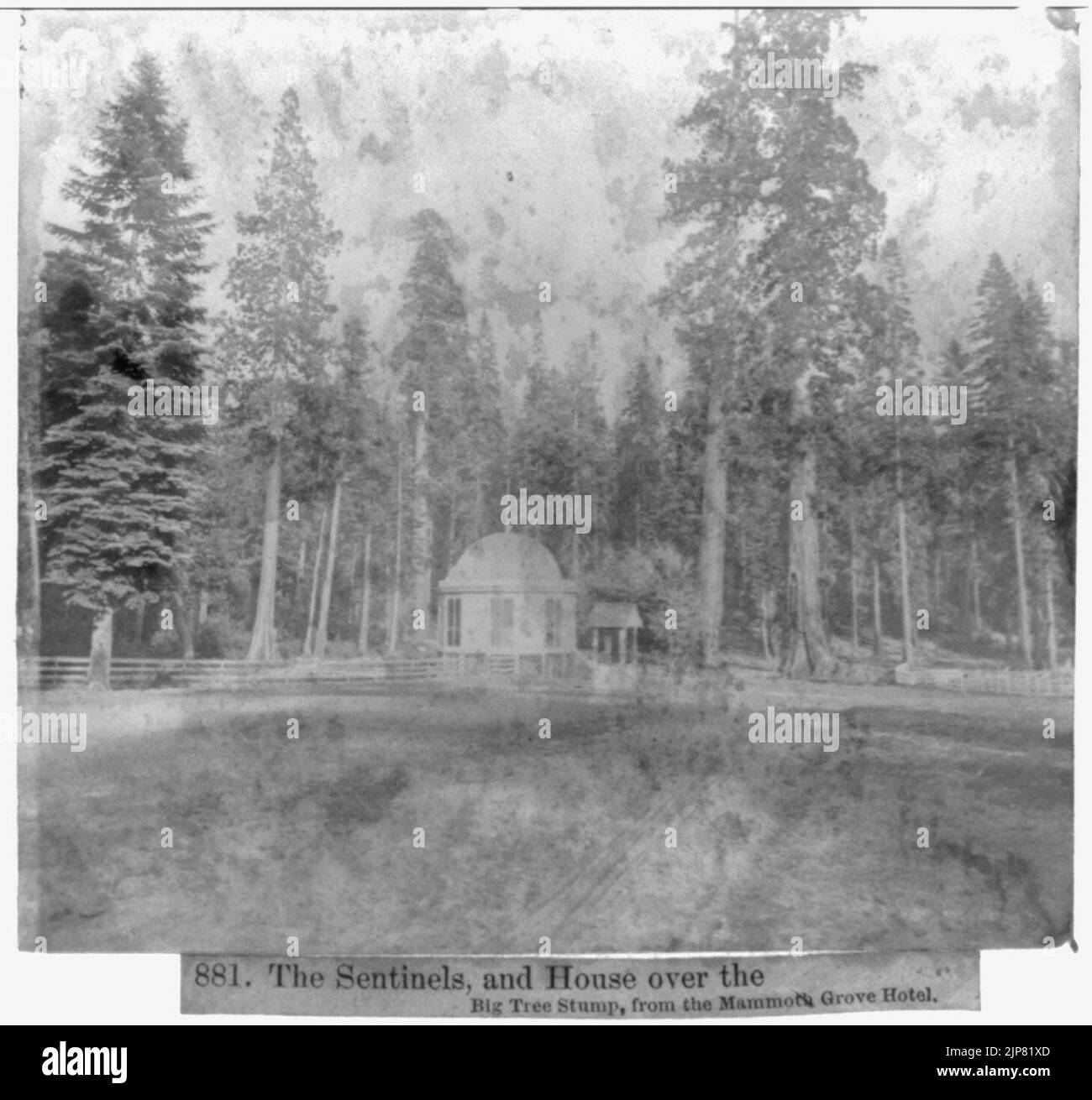 The Sentinels, and House over the Big Tree Stump, from the Mammoth ...