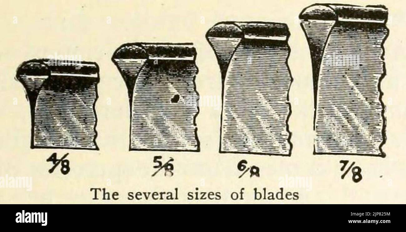 The several sizes of blades Stock Photo - Alamy