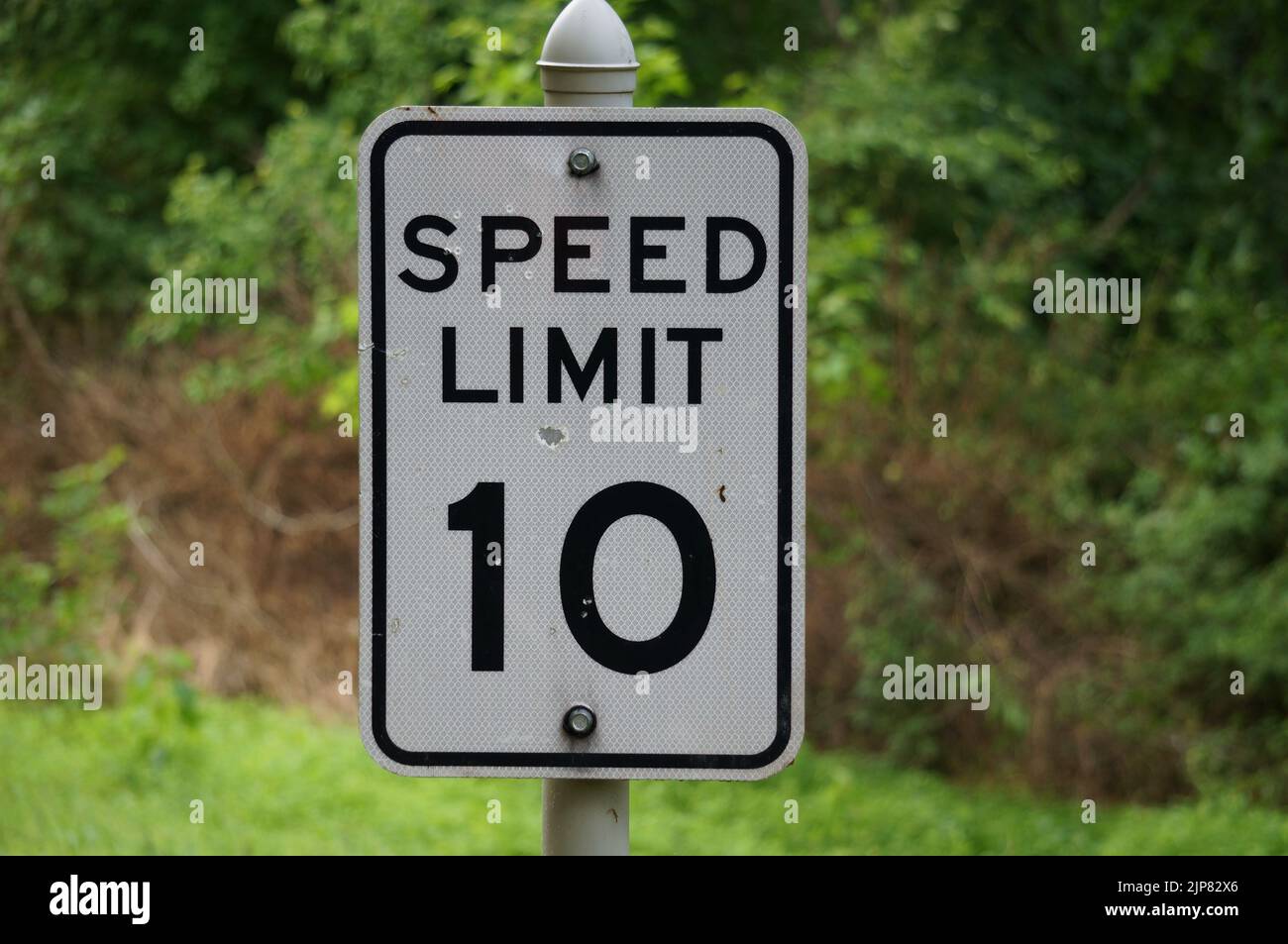 The close-up white speed limit traffic sign before the green trees ...