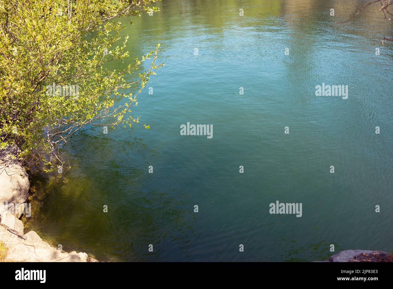 Water pond with trees on the foreground reflecting on the surface Stock ...