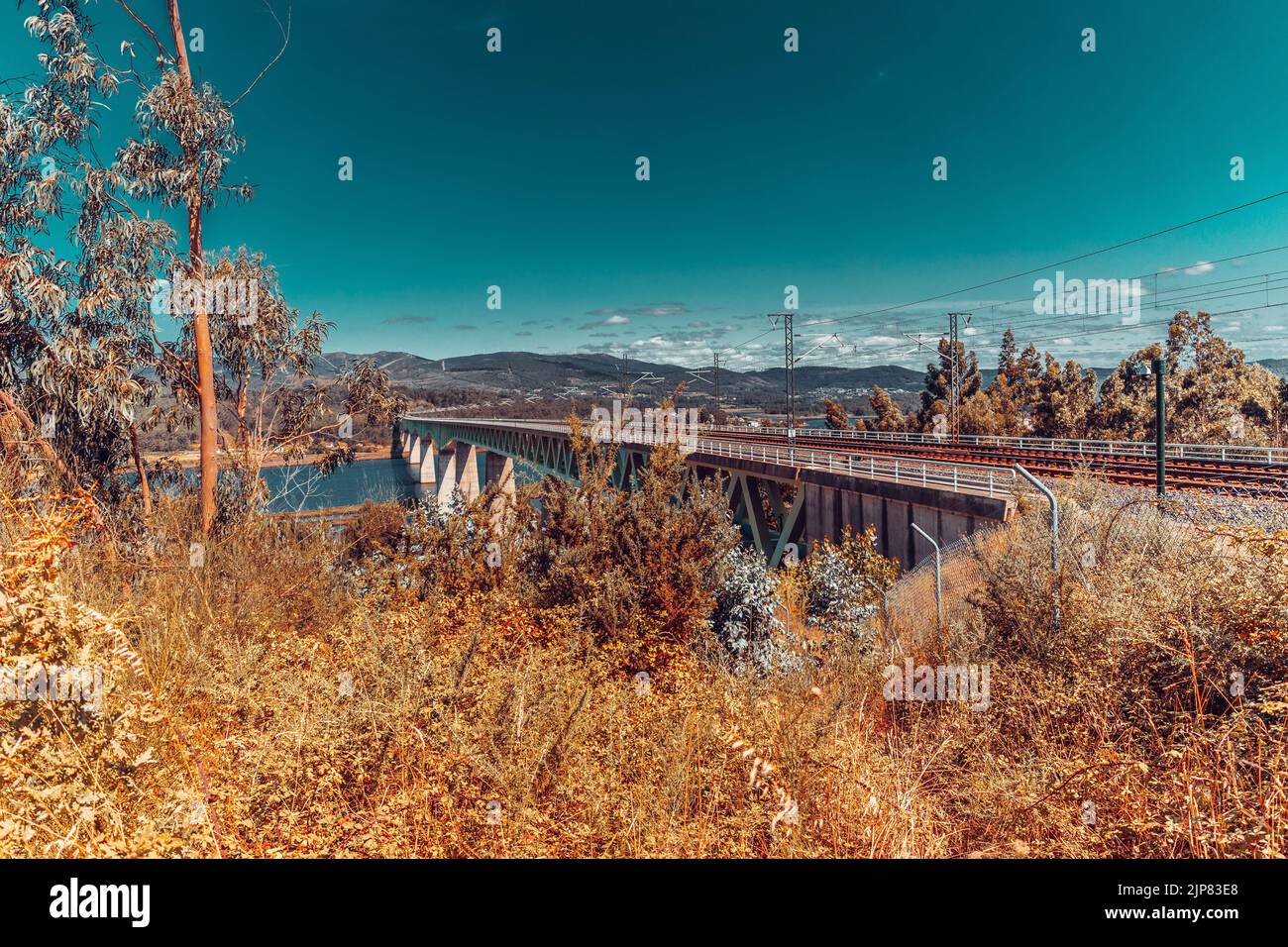 Train tracks on a bridge over the river with a forest on the foreground ...