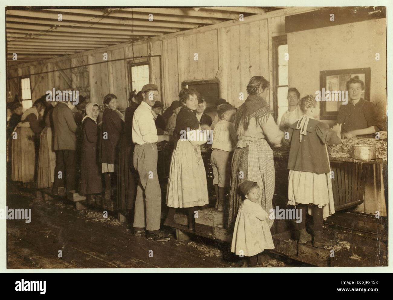 The smallest shrimp-picker, standing on the box is Manuel, about five ...