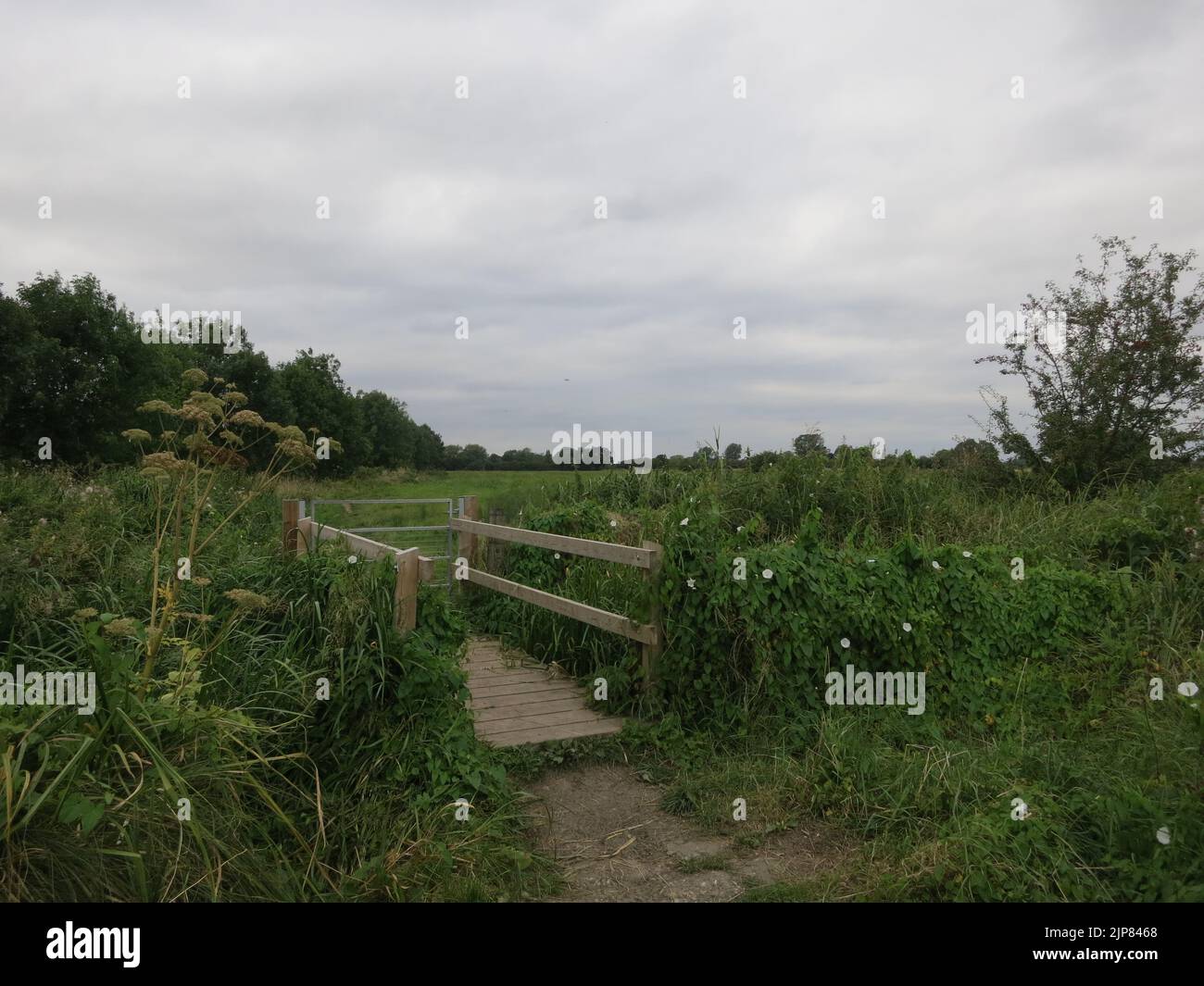 Thames Path National Trail. Long-distance trail. The River Thames ...
