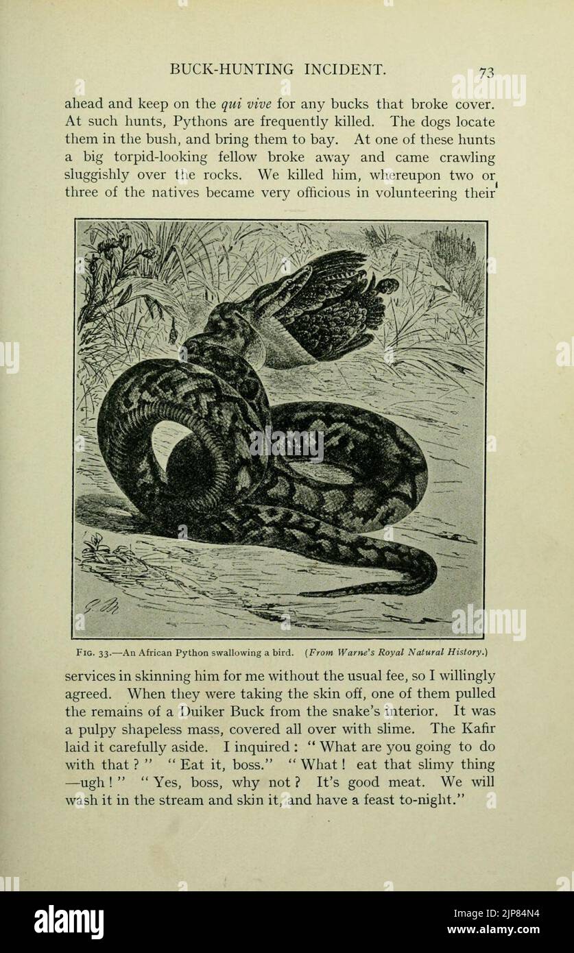 The snakes of South Africa (Page 73 Stock Photo - Alamy