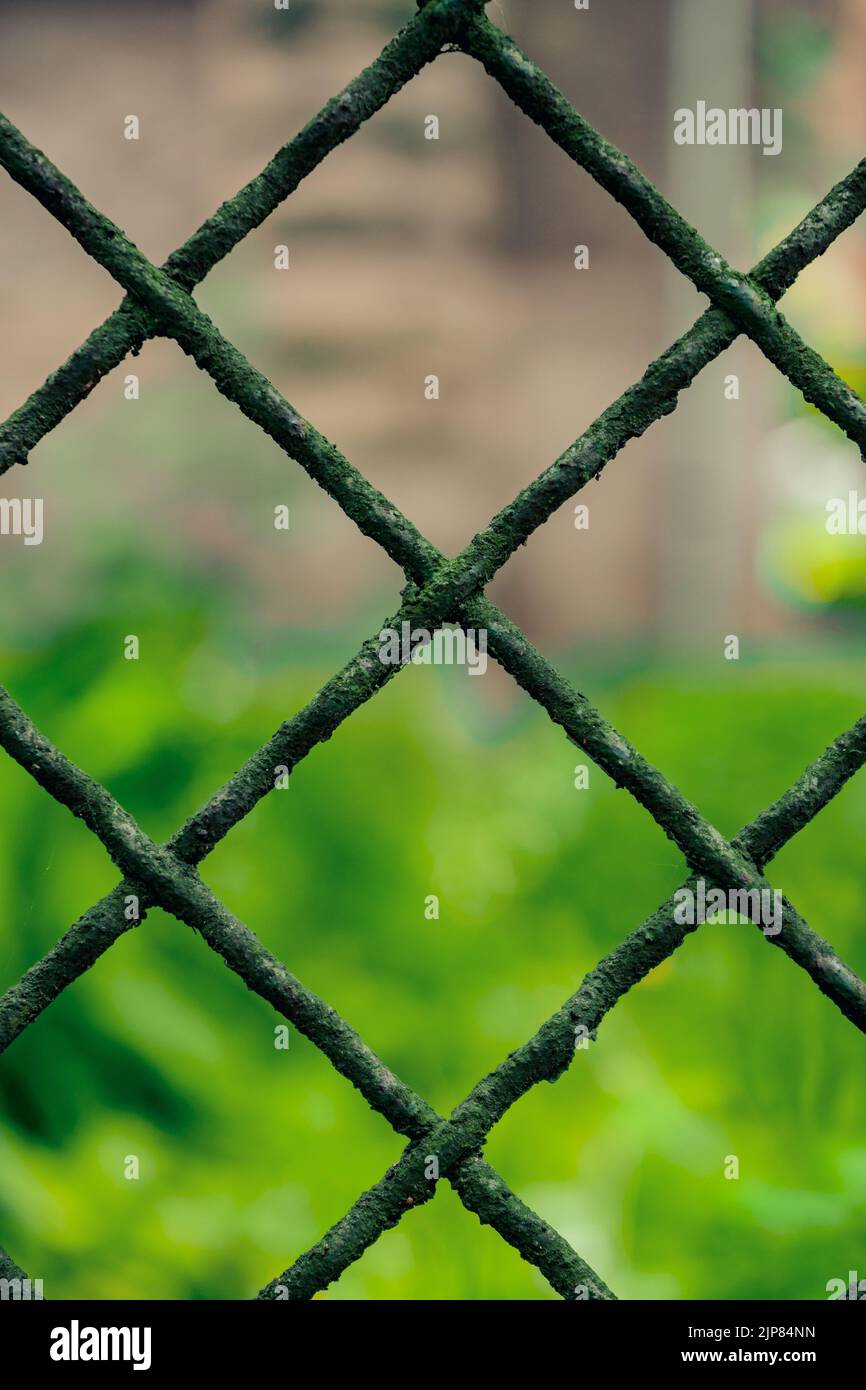 The vertical close-up view of a metal fence barrier mesh - good for ...