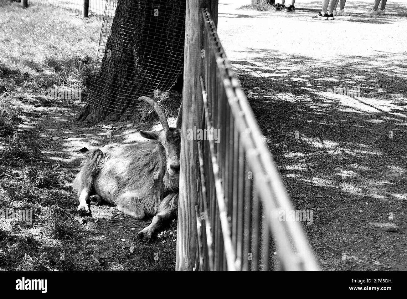 All locked up Black and White Stock Photos & Images - Alamy