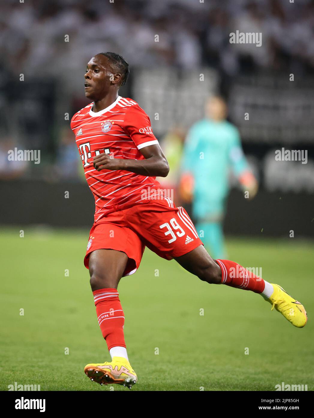 Mathys Tel of FC Bayern Muenchen Fussball 1 . Bundesliga Saison 2022 / ...