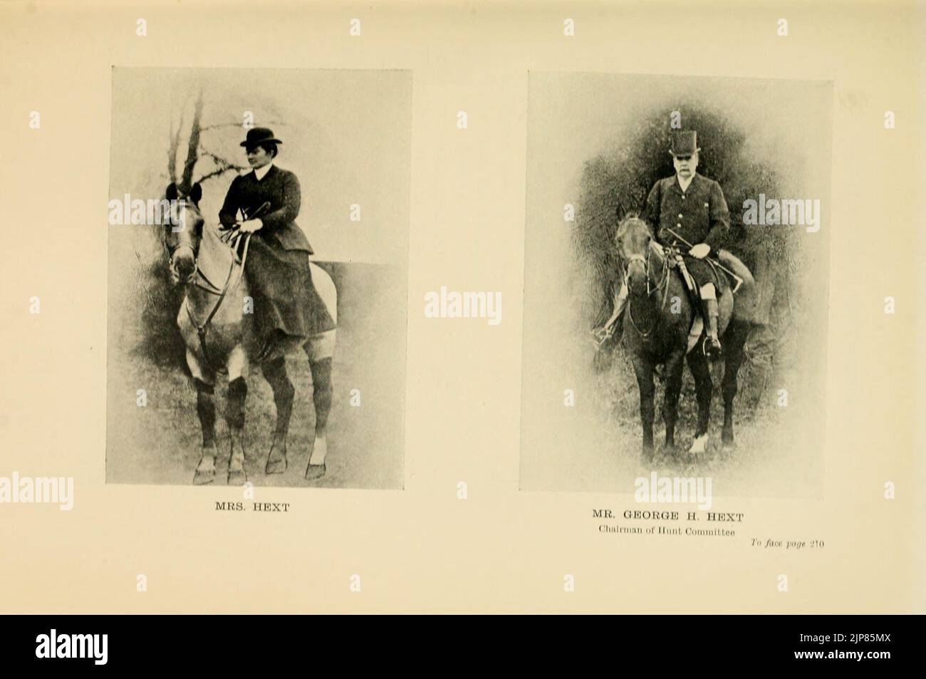 The South Devon Hunt Stock Photo - Alamy