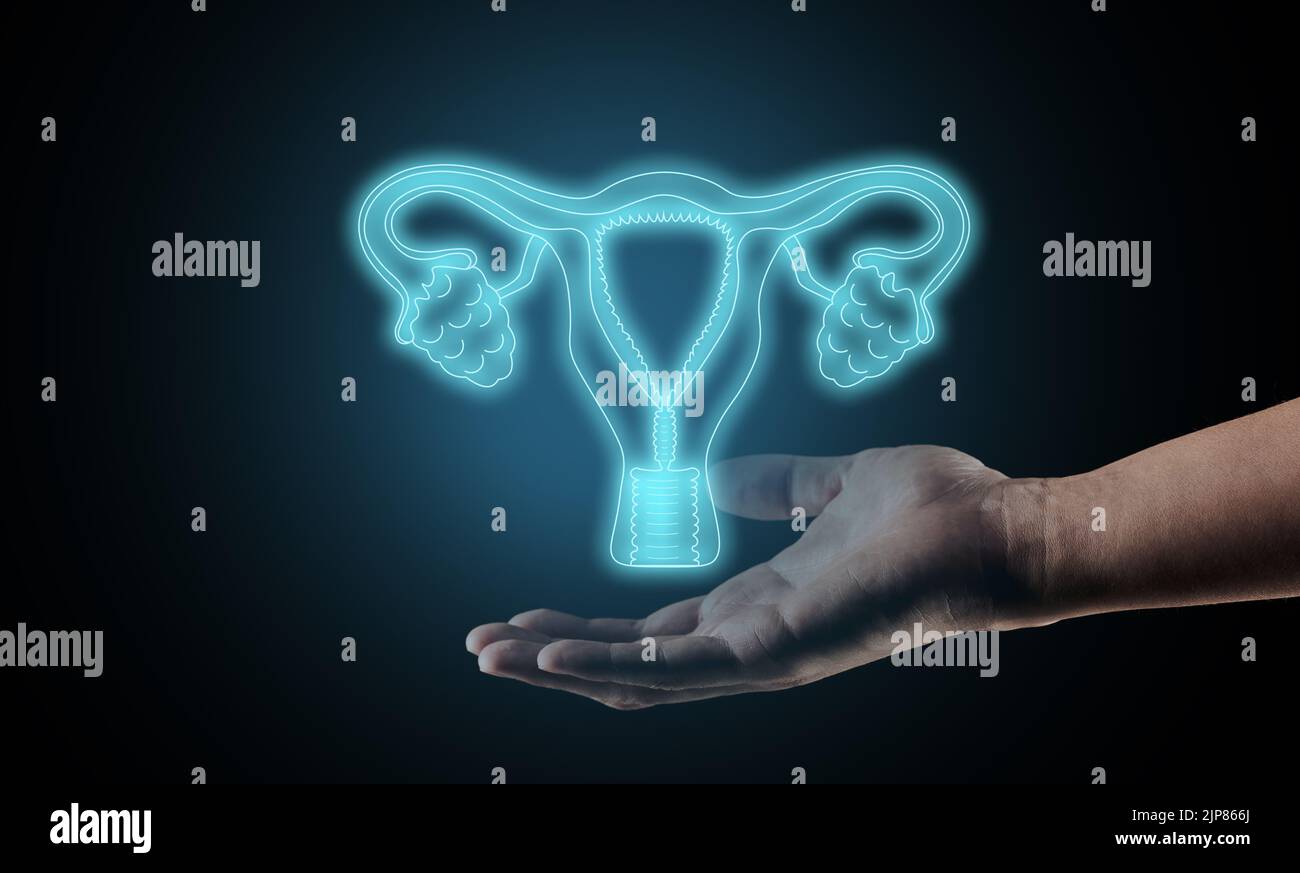 Virtual hologram female uterus in doctor's hand on black background ...