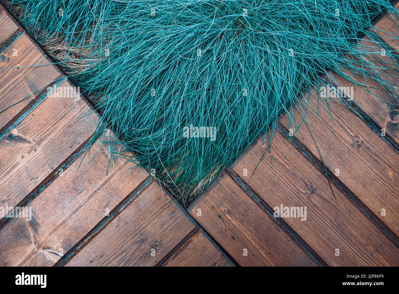 The top view of the fenced grass - beautiful choice for backgrounds ...