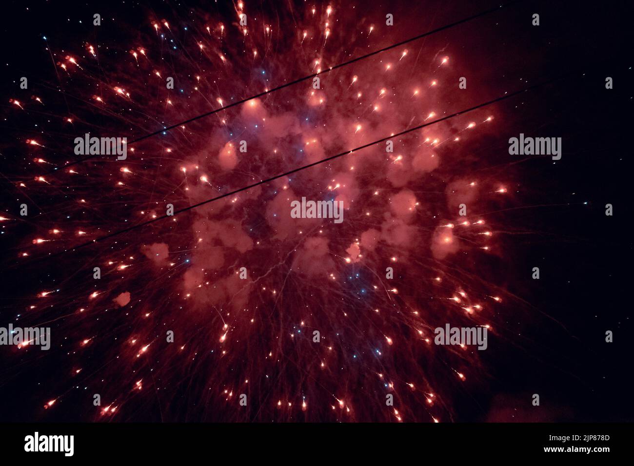 The display of bright pink fireworks in the night sky Stock Photo - Alamy