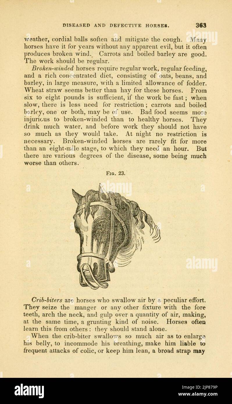 Stable book hi-res stock photography and images - Alamy