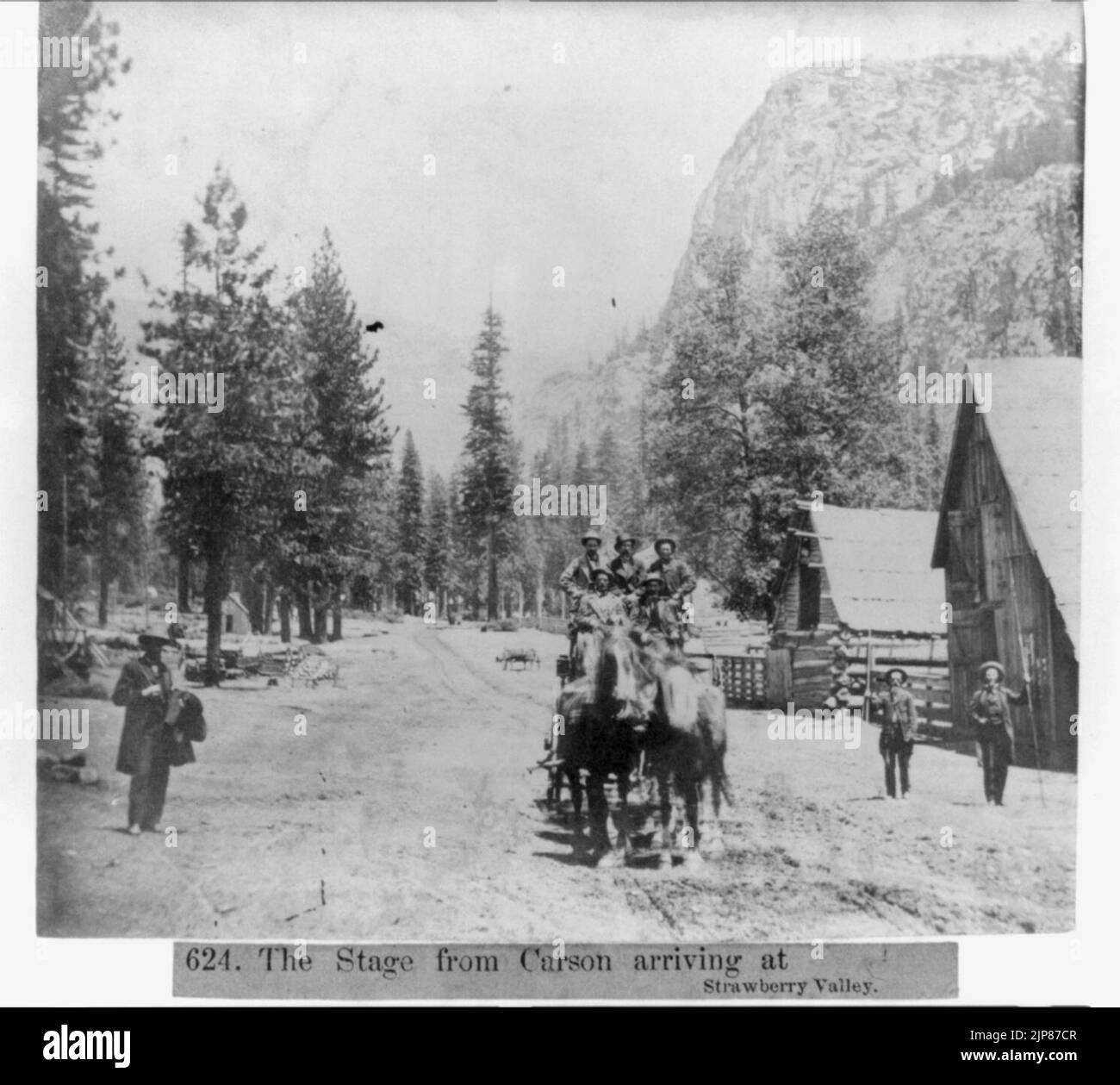 The Stage from Carson arriving at Strawberry Valley Stock Photo - Alamy