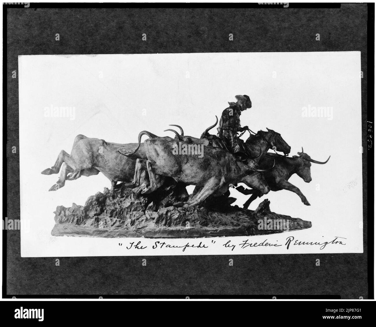 Stampede Cut Out Stock Images & Pictures - Alamy