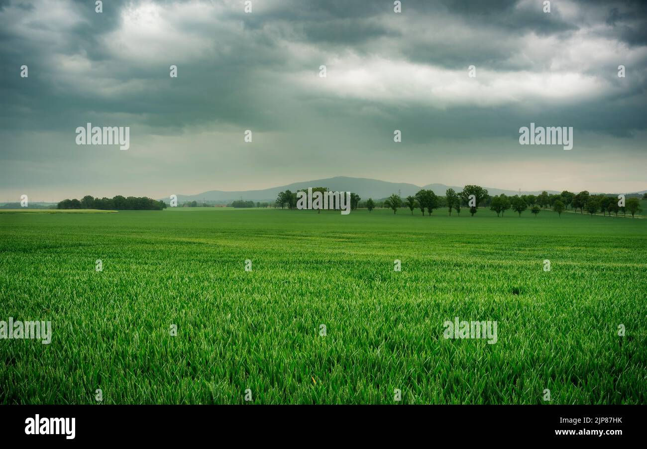 A field landscape during rainfall Stock Photo - Alamy
