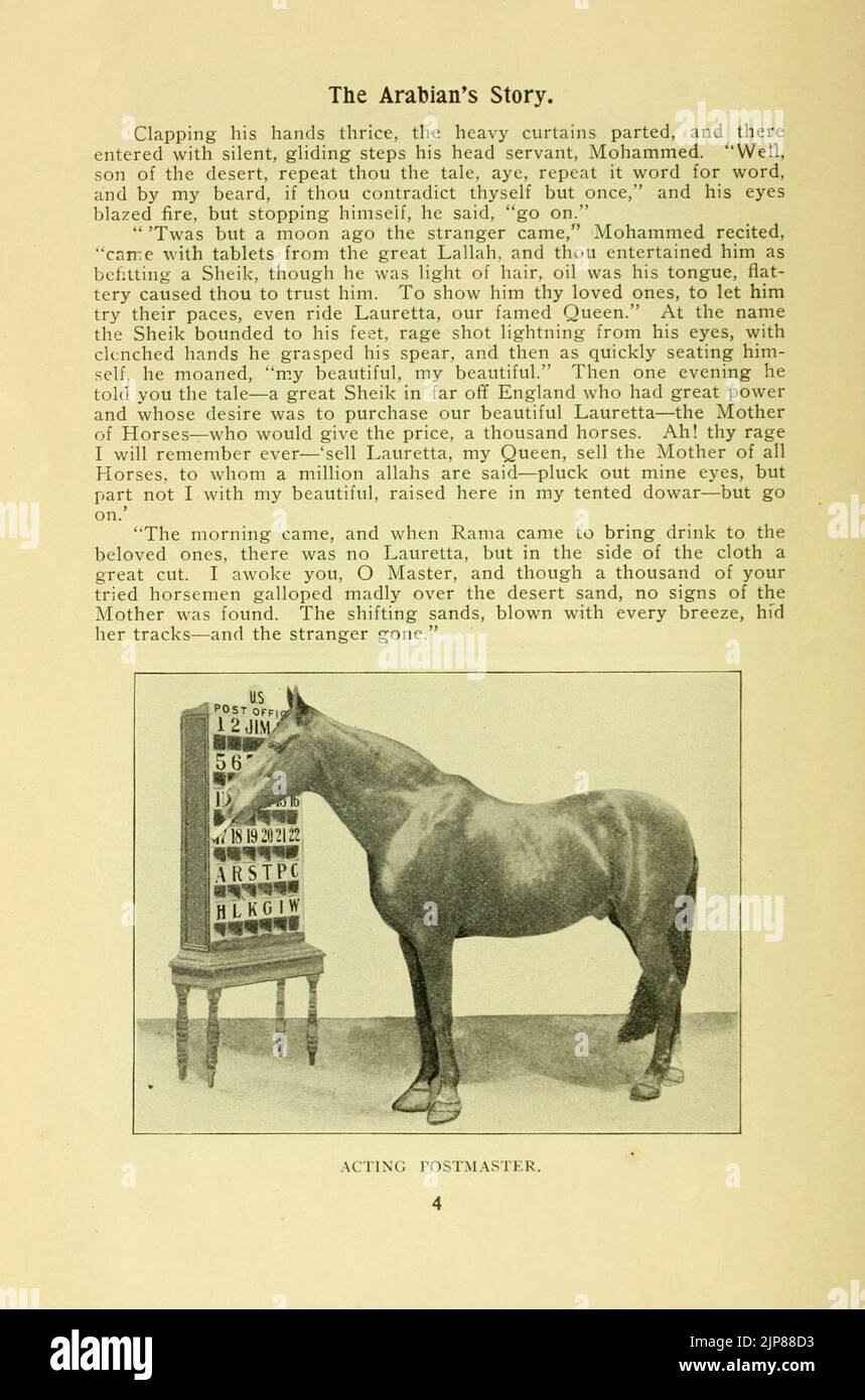 The story of Beautiful Jim Key (Page 4 Stock Photo - Alamy