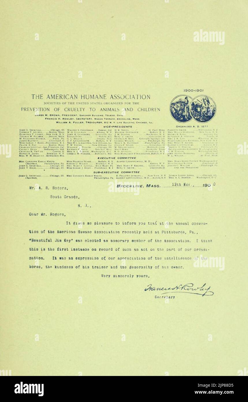 The story of Beautiful Jim Key Stock Photo - Alamy