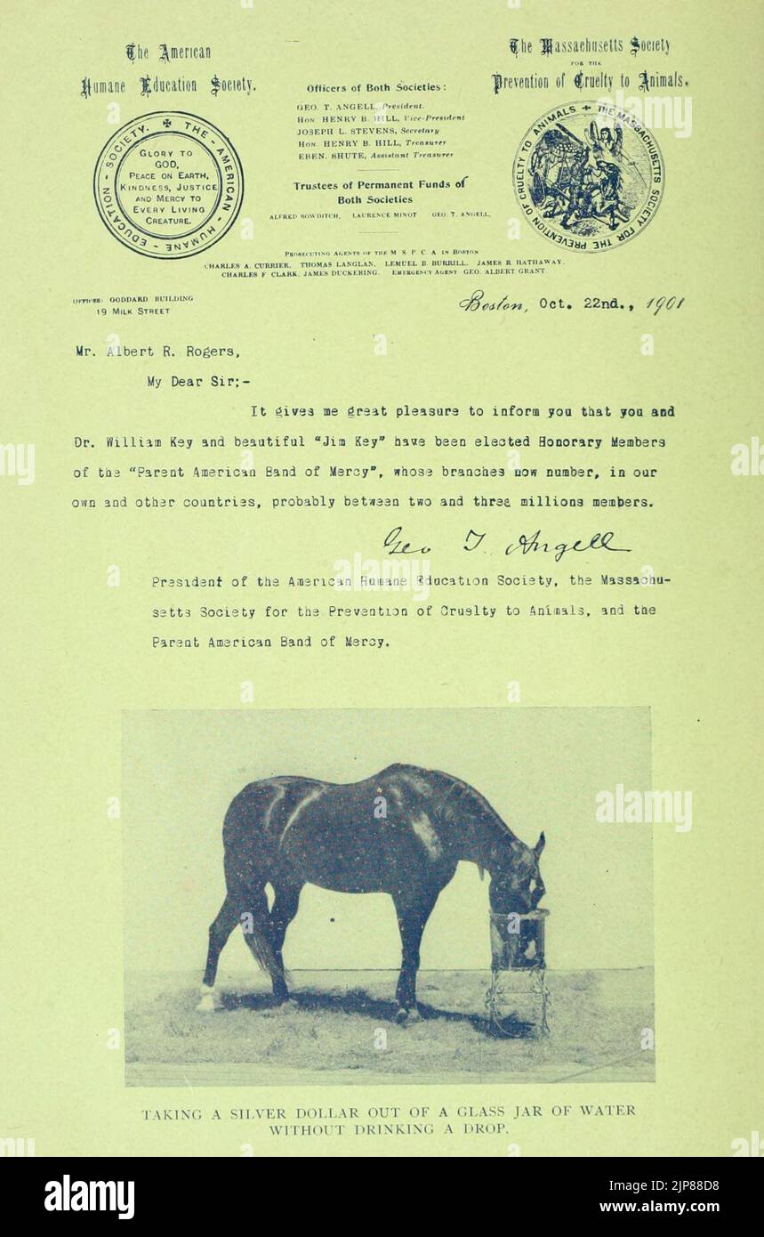 The story of Beautiful Jim Key Stock Photo - Alamy