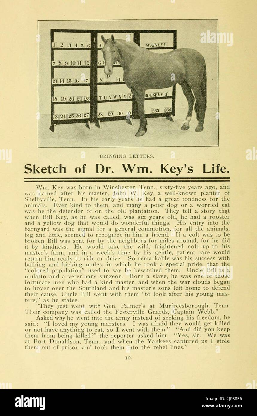 Jim page hi-res stock photography and images - Alamy