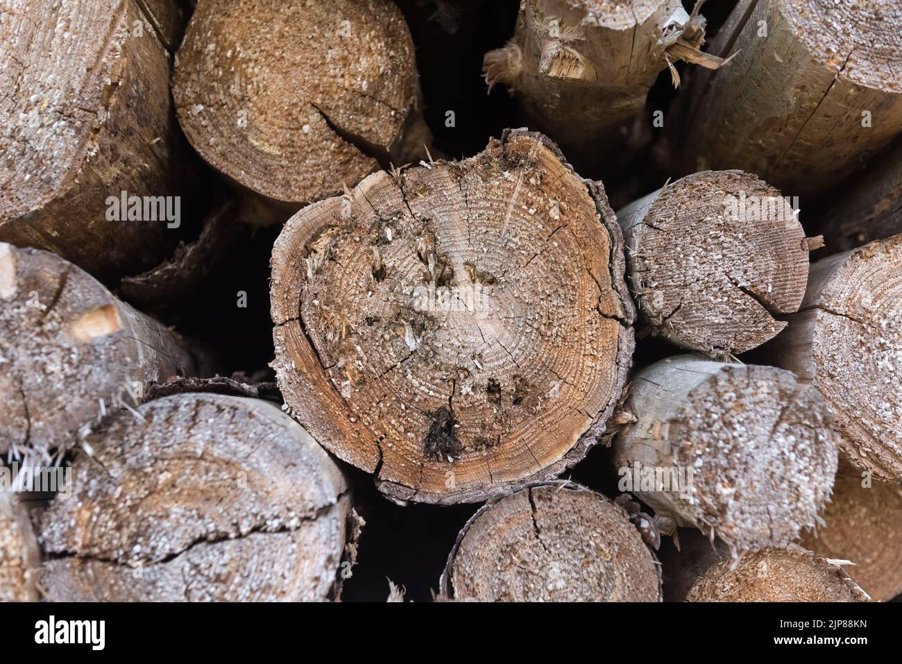 Cross fissures view hi-res stock photography and images - Alamy