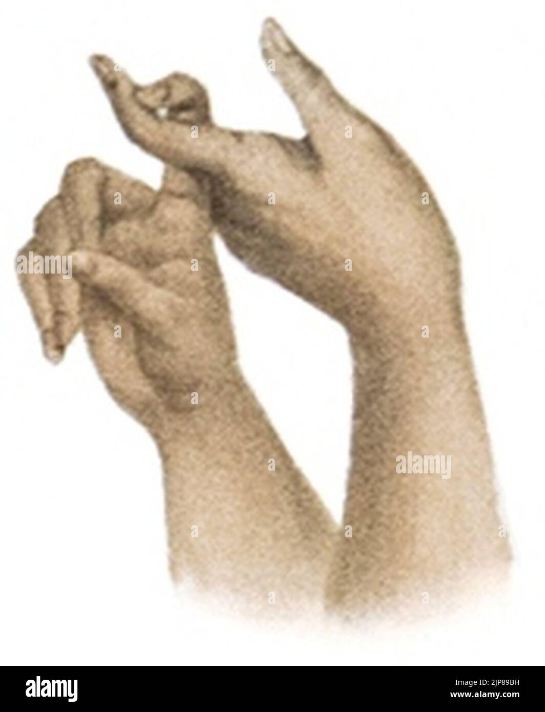The Sundhya Plate 4 Fig 2 Stock Photo - Alamy
