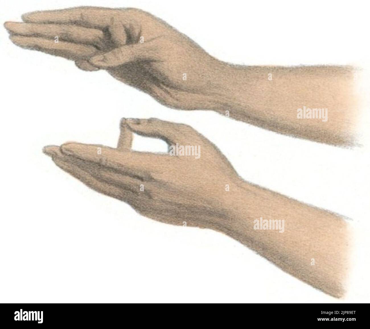 Sundhya hi-res stock photography and images - Alamy