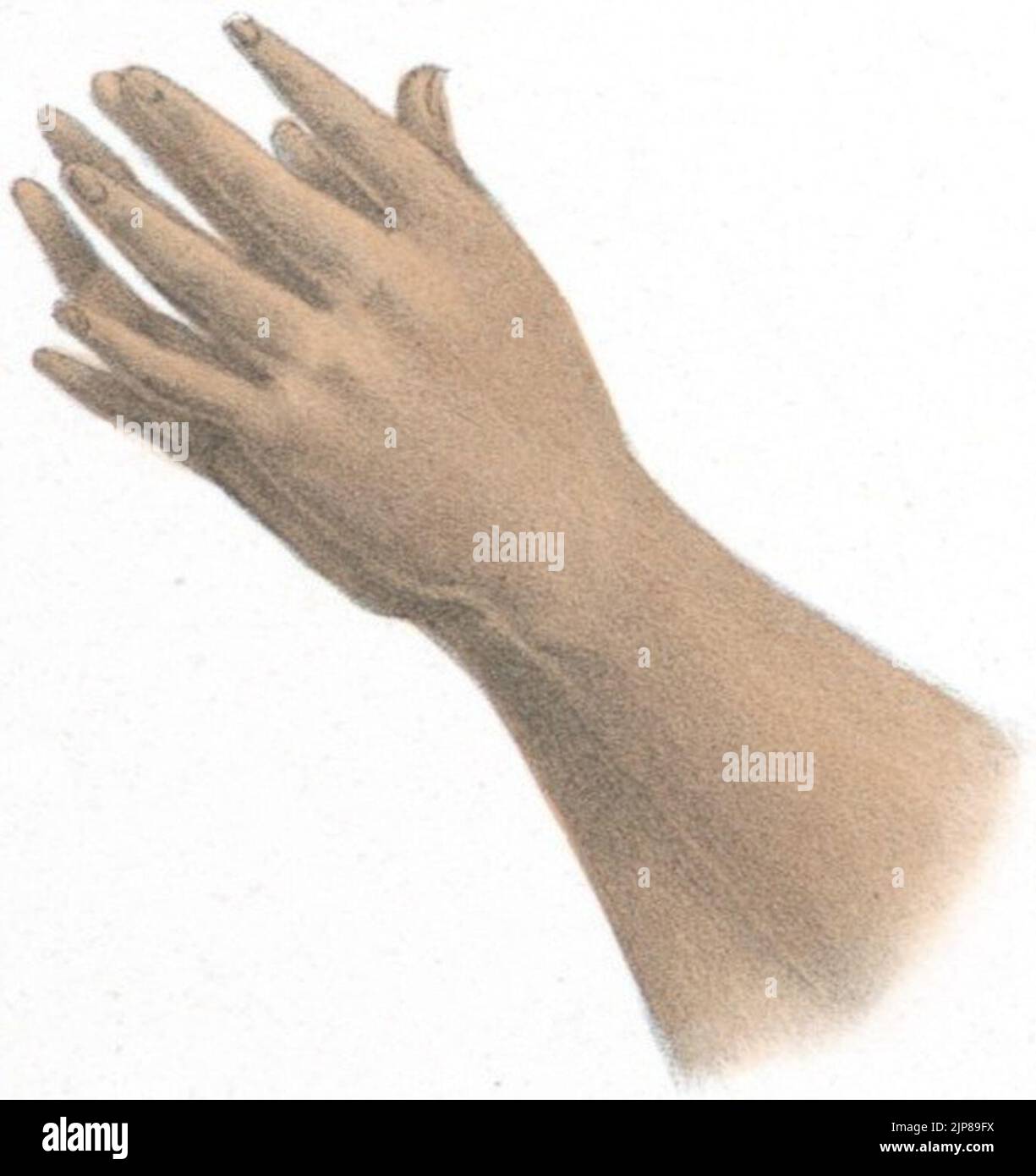 Sundhya hi-res stock photography and images - Alamy