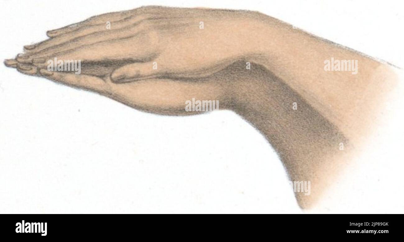 The Sundhya Plate 5 Fig 2 Stock Photo - Alamy