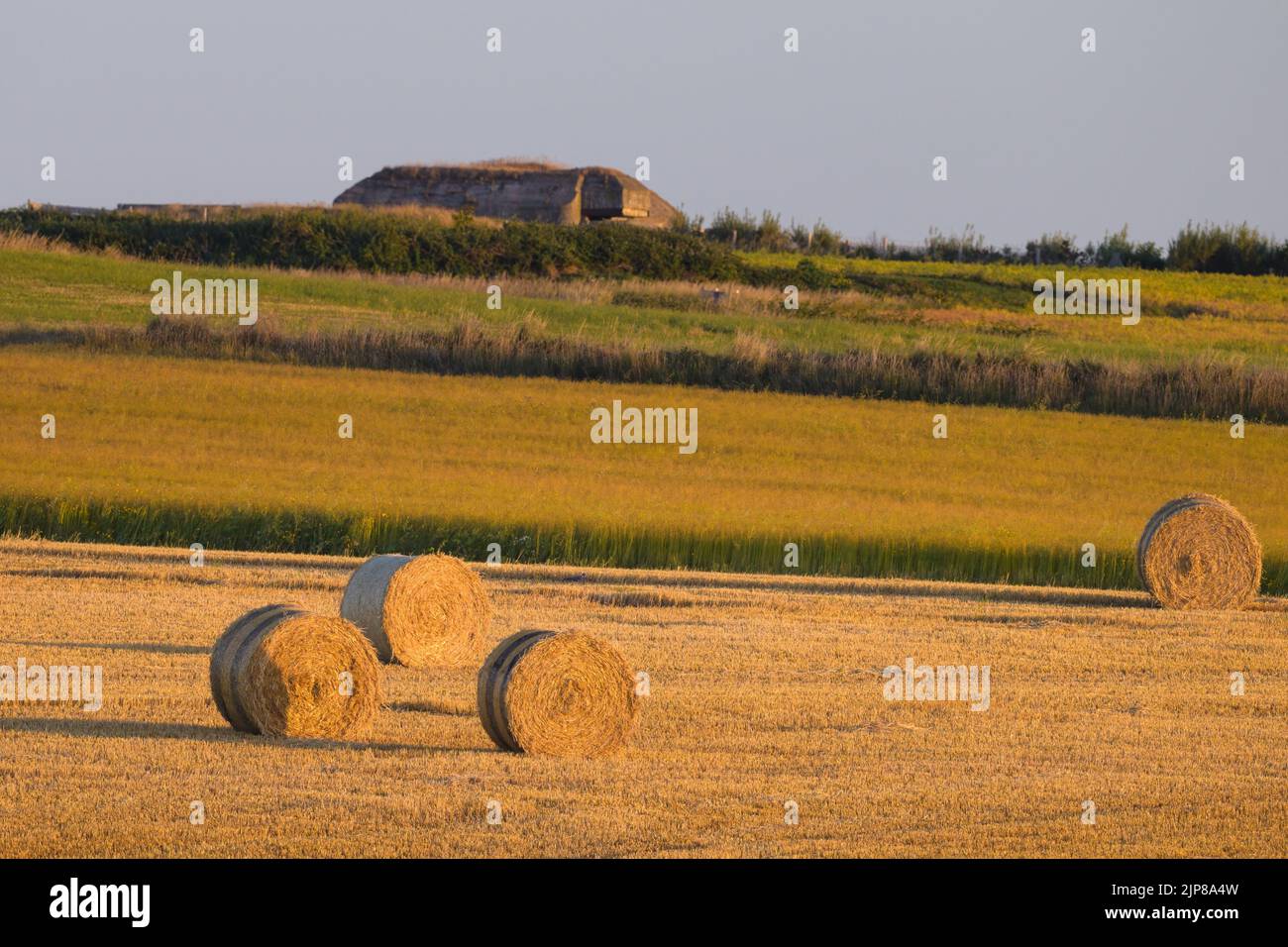 Straw bales near Cap Gris Nez (France) sunset, German bunker in ...