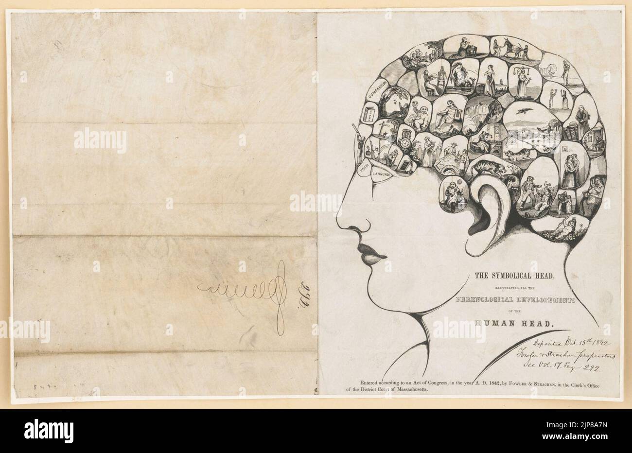 The Symbolical head, illustrating all the phrenological developements ...