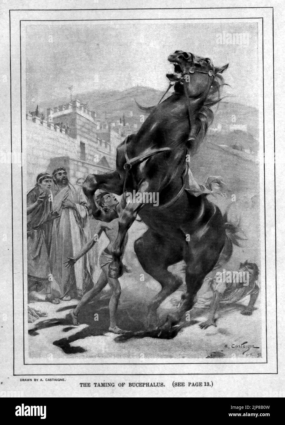 The taming of Bucephalus by Andre Castaigne (1898-1899 Stock Photo - Alamy