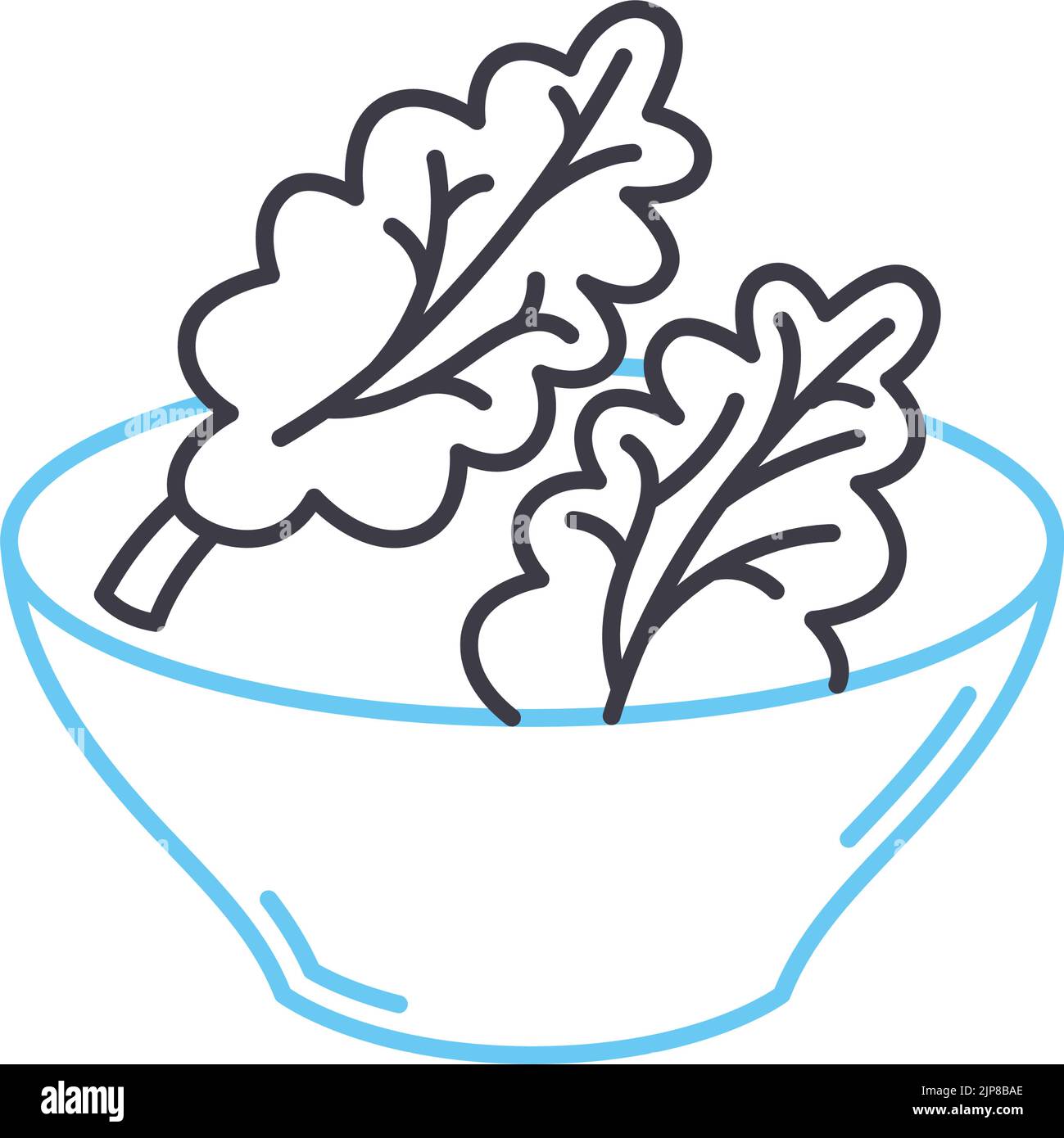 chinese kale leaf line icon, outline symbol, vector illustration ...